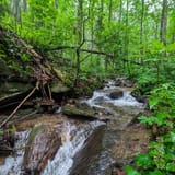 Walden Creek Waterfall Trail, Georgia - 193 Reviews, Map | AllTrails