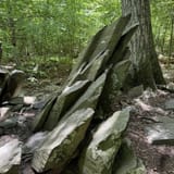 Limberlost Trail, Virginia - 933 Reviews, Map | AllTrails