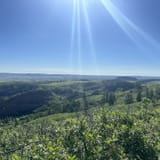 Carpenter Peak Trail, Colorado - 3,601 Reviews, Map | AllTrails