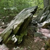 Limberlost Trail, Virginia - 933 Reviews, Map | AllTrails