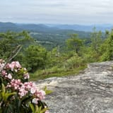 Scaly Mountain via Bartram Trail, North Carolina - 544 Reviews, Map ...