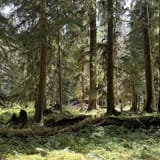 Enchanted Valley Chalet via East Fork Quinault River Trail, Washington ...