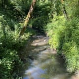 Tryon Creek Triple Bridge Loop, Oregon - 1,592 Reviews, Map | AllTrails