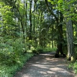 Tryon Creek Triple Bridge Loop, Oregon - 1,592 Reviews, Map | AllTrails