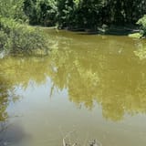 The Boardwalk at Lake Weatherford, Texas - 124 Reviews, Map | AllTrails