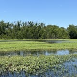 The Boardwalk at Lake Weatherford, Texas - 124 Reviews, Map | AllTrails