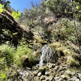 Waterfalls of Mount Diablo Loop, California - 2,402 Reviews, Map ...