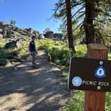 Tahoe Rim Trail to Picnic Rock Viewpoint, California - 3,401 Reviews, Map | AllTrails