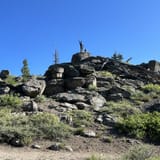 Tahoe Rim Trail to Picnic Rock Viewpoint, California - 3,401 Reviews, Map | AllTrails