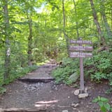 Thousand Steps, Pennsylvania - 1,286 Reviews, Map | AllTrails