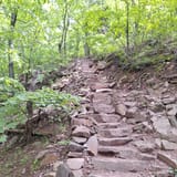 Thousand Steps, Pennsylvania - 1,286 Reviews, Map | AllTrails