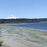 Marine View Park Loop Trail, Washington - 540 Reviews, Map | AllTrails