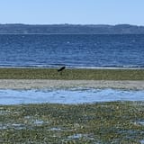 Marine View Park Loop Trail, Washington - 540 Reviews, Map | AllTrails