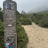 Old Colma Road Loop, California - 2,150 Reviews, Map | AllTrails