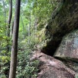 Hidden Arch Trail, Kentucky - 1,105 Reviews, Map | AllTrails