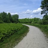 Hooksett Riverwalk Trail, New Hampshire - 200 Reviews, Map | AllTrails