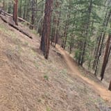 Chamisa Trail, New Mexico - 1,411 Reviews, Map | AllTrails
