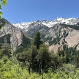 Lower Mill B North Fork Trail, Utah - 1,664 Reviews, Map | AllTrails