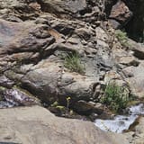 Etiwanda Falls Trail, California - 6,165 Reviews, Map | AllTrails