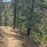 Chamisa Trail, New Mexico - 1,411 Reviews, Map | AllTrails