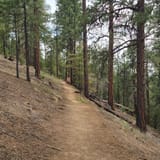 Chamisa Trail, New Mexico - 1,411 Reviews, Map | AllTrails