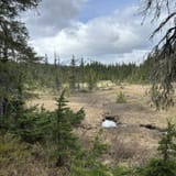 Grayling Lake Trail, Alaska - 108 Reviews, Map | AllTrails