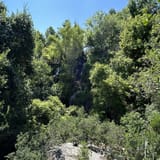 Gorman Falls Trail, Texas - 1,150 Reviews, Map | AllTrails