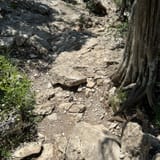 Gorman Falls Trail, Texas - 1,150 Reviews, Map | AllTrails