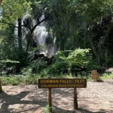 Gorman Falls Trail, Texas - 1,152 Reviews, Map | AllTrails