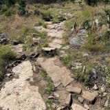 Gorman Falls Trail, Texas - 1,088 Reviews, Map | AllTrails