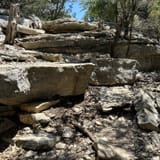 Gorman Falls Trail, Texas - 1,152 Reviews, Map | AllTrails