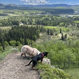 Fullerton Loop Trail, Alberta, Canada - 3,981 Reviews, Map | AllTrails
