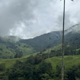 Cocora Valley Loop, Quindío, Colombia - 201 Reviews, Map | AllTrails
