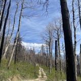 Storm Mountain, Colorado - 243 Reviews, Map | AllTrails