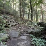 Greeter Falls Loop and Greeter Trail to Alum Gap, Tennessee - 1,059 ...