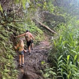 Waimano Falls Trail, Oahu, Hawaii - 5,033 Reviews, Map | AllTrails