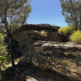 Window Cliffs Trail, Tennessee - 1,464 Reviews, Map | AllTrails