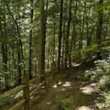 Window Cliffs Trail, Tennessee - 1,419 Reviews, Map | AllTrails