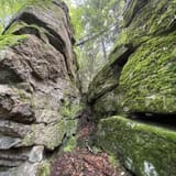 Canyon Vista Trail, Pennsylvania - 852 Reviews, Map | AllTrails