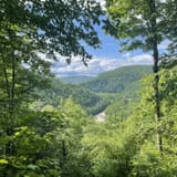Canyon Vista Trail, Pennsylvania - 852 Reviews, Map | AllTrails