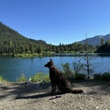 Gold Creek Pond Loop, Washington - 2,680 Reviews, Map | AllTrails