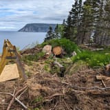 Middle Head Trail, Nova Scotia, Canada - 1,312 Reviews, Map | AllTrails