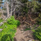 Middle Head Trail, Nova Scotia, Canada - 1,312 Reviews, Map | AllTrails