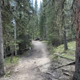Fullerton Loop Trail, Alberta, Canada - 3,981 Reviews, Map | AllTrails