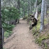Lightning Lake Loop, British Columbia, Canada - 776 Reviews, Map ...