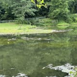 Lake Atalanta Loop, Arkansas - 617 Reviews, Map | AllTrails