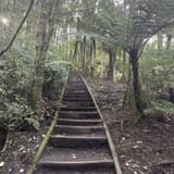 Puhinui Stream Forest Trail, Auckland, New Zealand - 551 Reviews, Map ...
