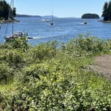 Cable Bay Trail, British Columbia, Canada - 1,168 Reviews, Map | AllTrails