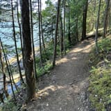 Cable Bay Trail, British Columbia, Canada - 1,168 Reviews, Map | AllTrails