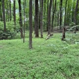 Gold Mine Loop Trail, Maryland - 1,000 Reviews, Map | AllTrails